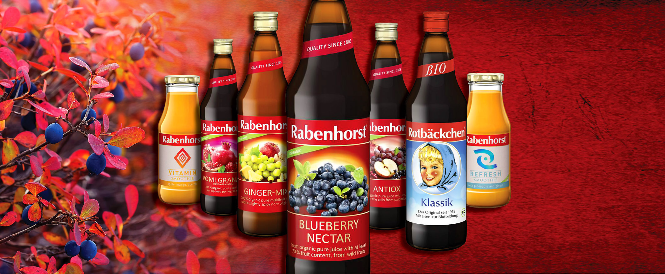 Exclusive Imported German Beverages Just For You | German Beverages ...